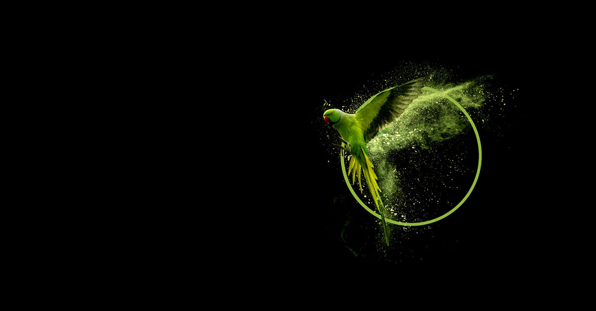 GX Consulting | Deloitte