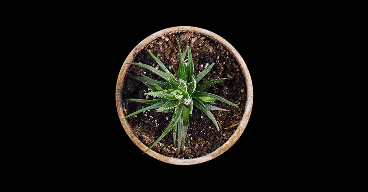 On the Radar: Accounting for income taxes | Deloitte US