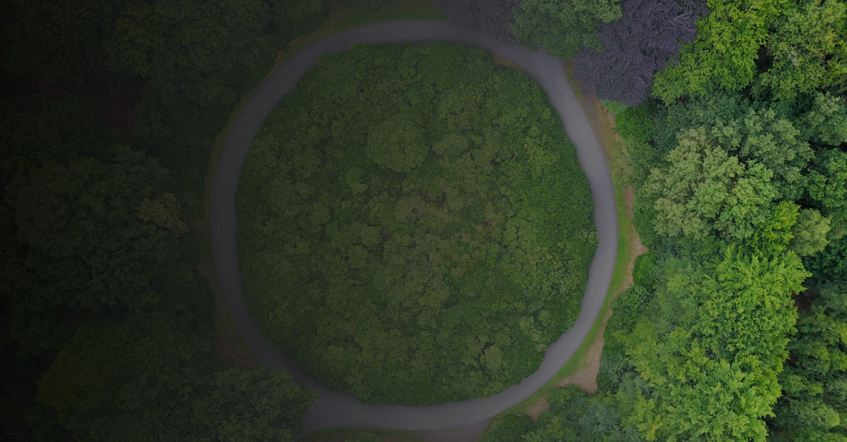 Sustainability Insights | Deloitte Global