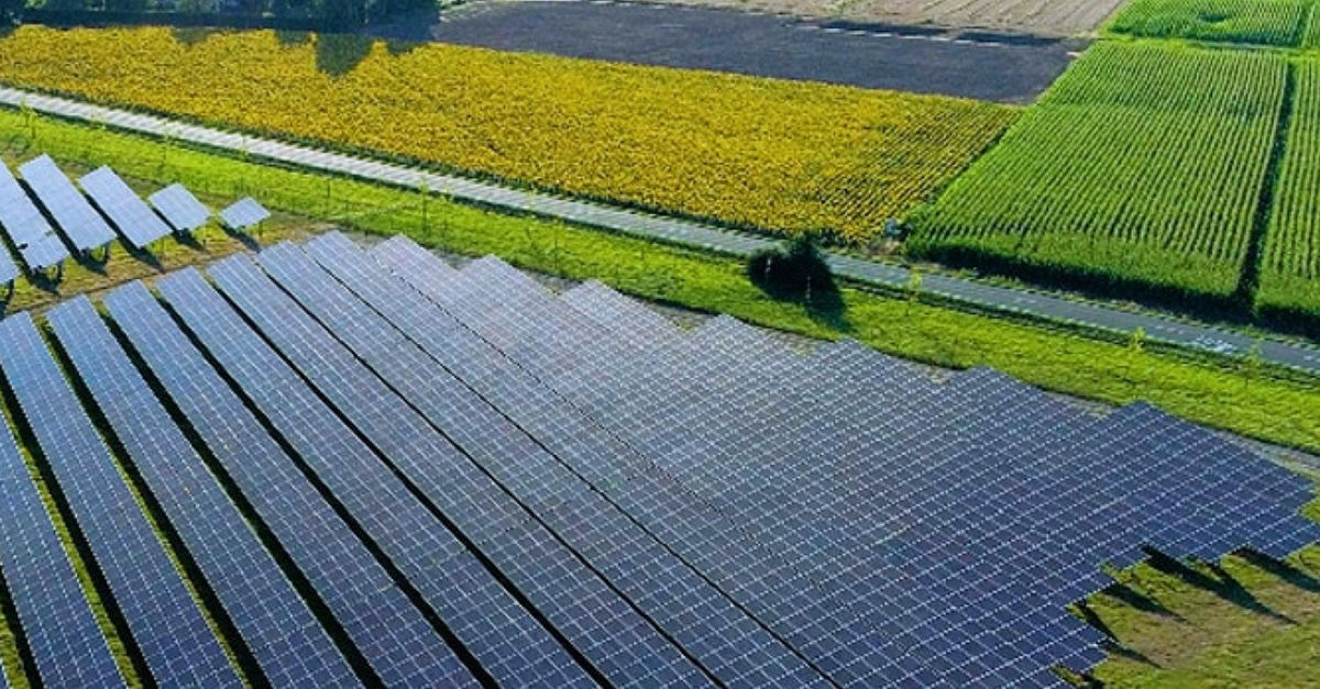 It’s worth beginning your plan to net zero | Audit & Assurance ...