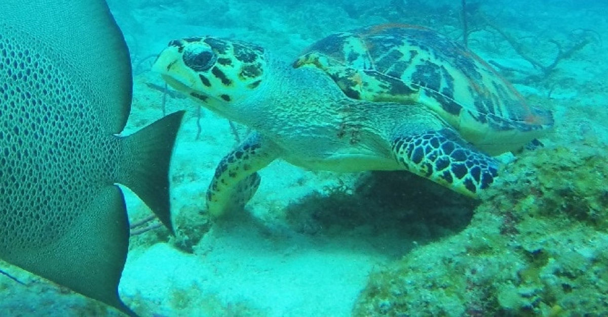 Explore Deloitte Cayman Islands | Deloitte Cayman Islands | Content Filter