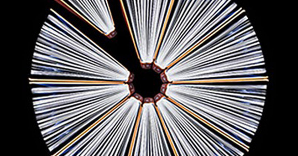 Learning & Development | Deloitte Belgium | Careers