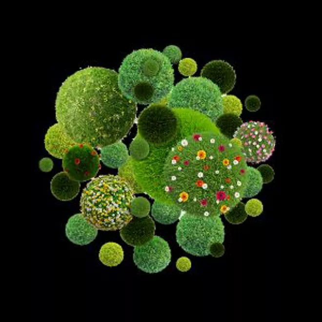 Careers | Deloitte Ireland