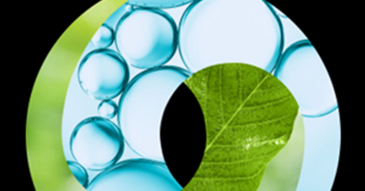 Low-carbon fuels: The last mile to net zero | Deloitte Global