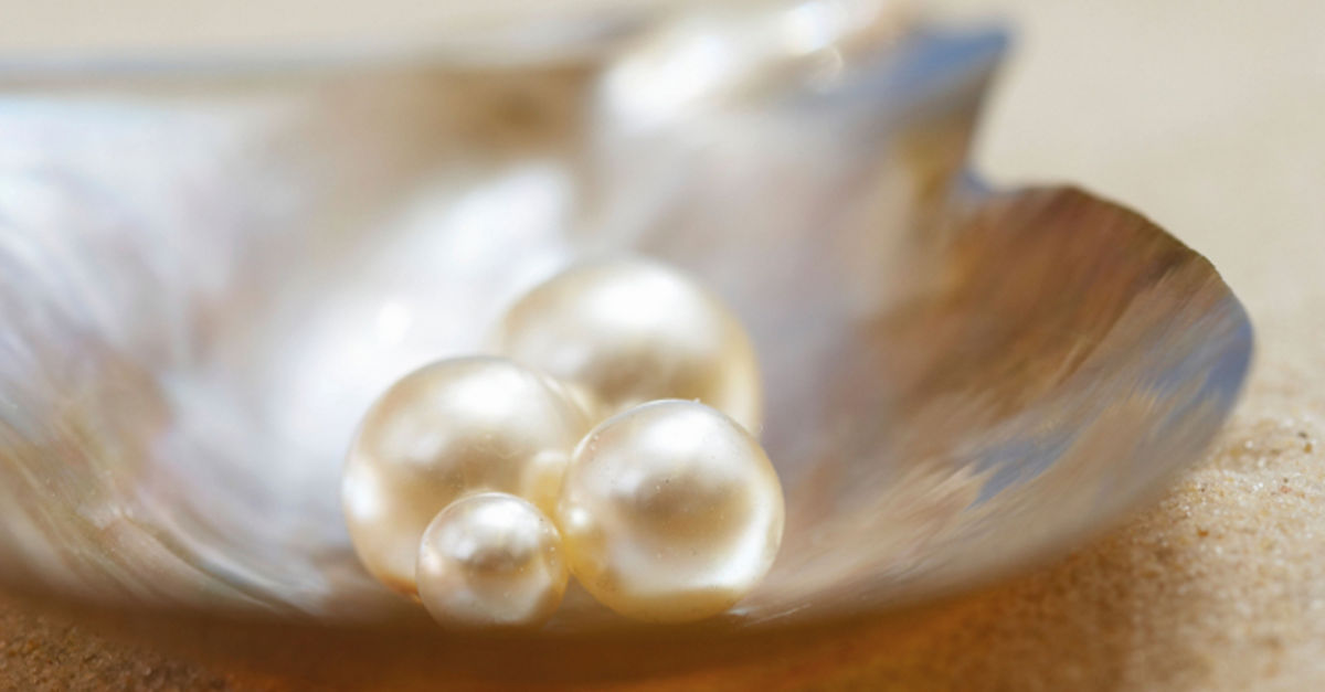 Role of the réviseur d’entreprises agréé for PSF | Deloitte Luxembourg ...