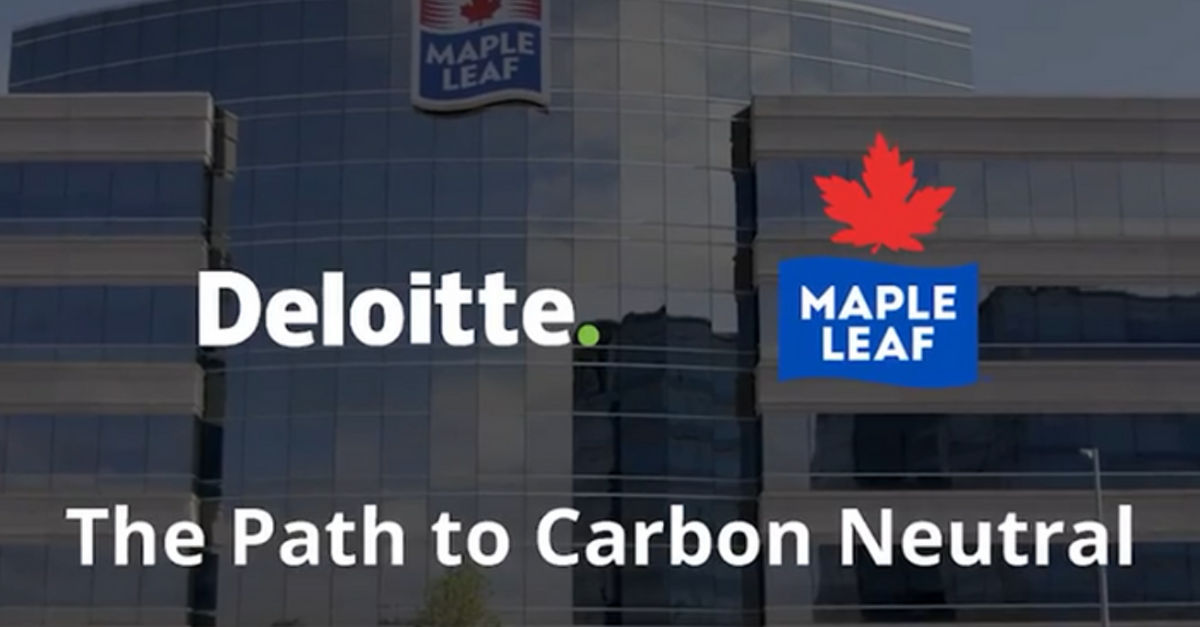 The strategy and science of carbon-cutting | Deloitte Global