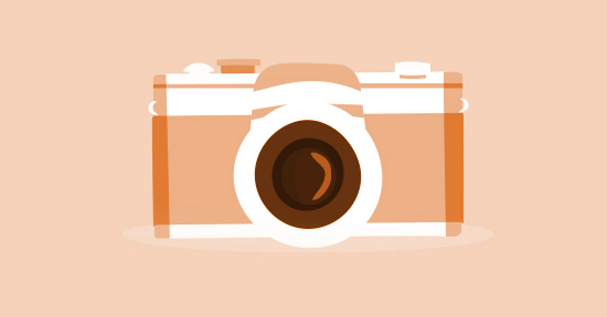 Snapshot of recent developments | Deloitte New Zealand