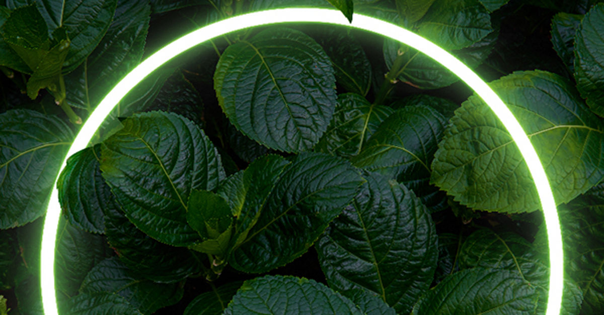 Verdantix ESG & Sustainability Consulting Green Quadrant 2024 ...