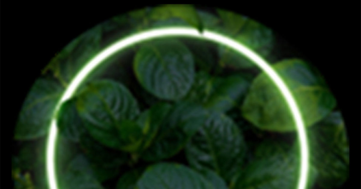 Mobility Transformation and Pathways to Net Zero | Deloitte Middle East