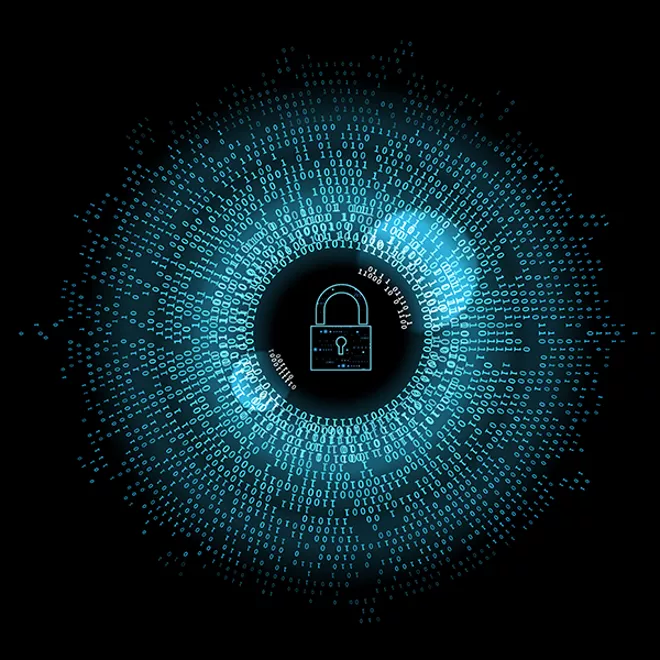 Consumer privacy | Deloitte Middle East