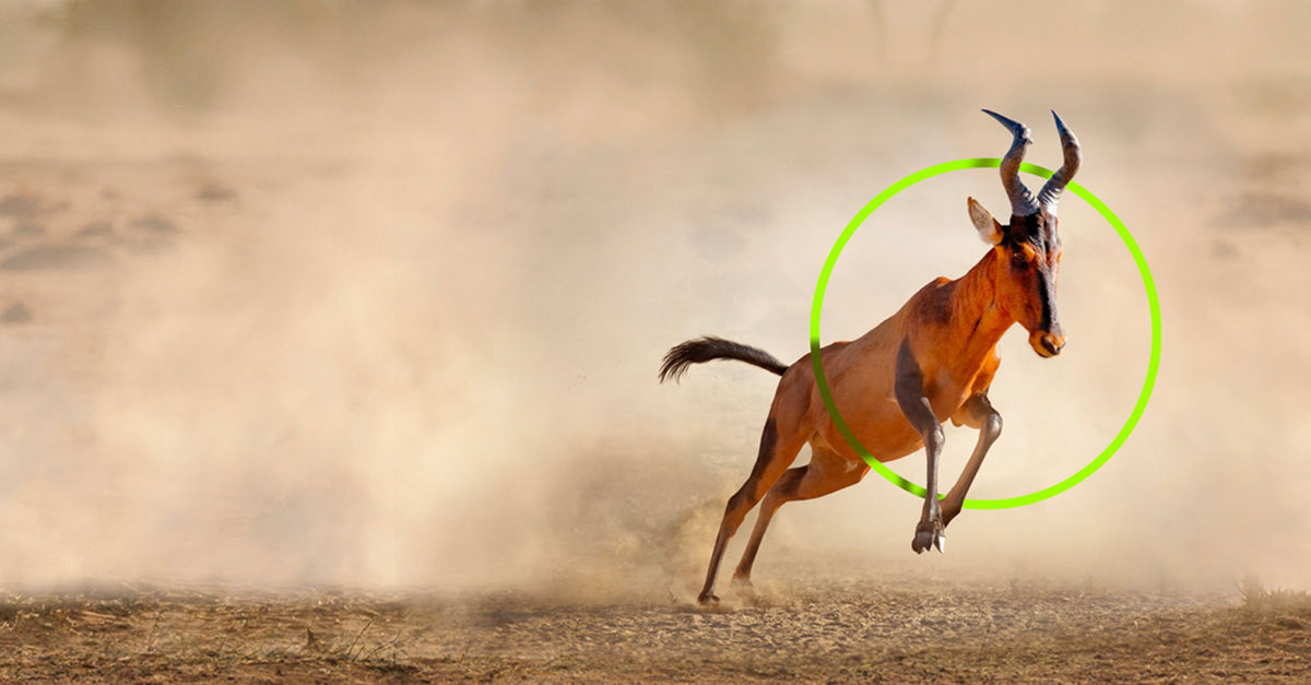 Sustainability & Climate - Deloitte The Netherlands