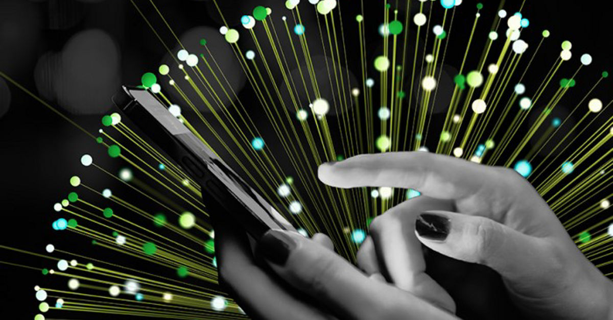 Portfolio company services | Deloitte Global