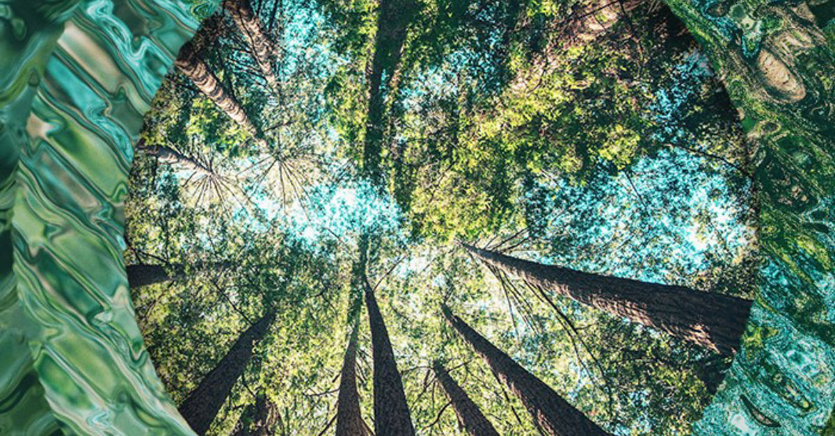 Performance through CSRD implementation | Deloitte Sverige