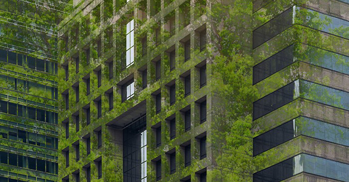 Board chairs, climate change, governance | Deloitte Southeast Asia