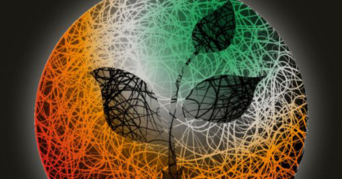 Deloitte's Point of view | Deloitte Israel