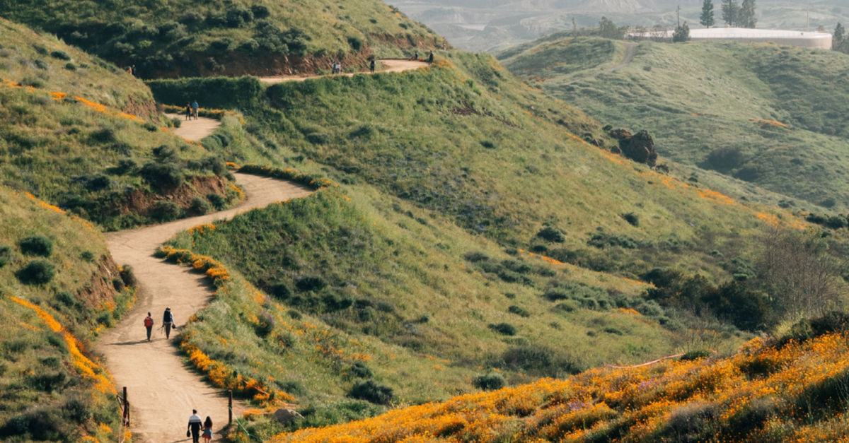 Préparer la relève au sein des entreprises familiales : méthodes et ...
