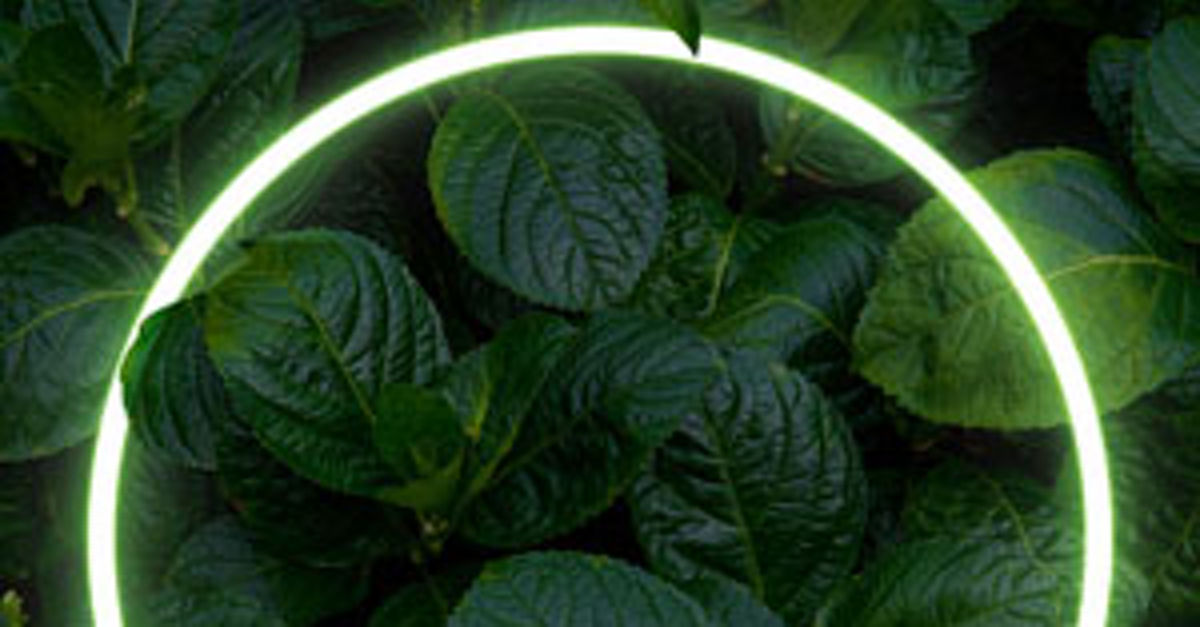 Faglegt efni | Deloitte Ísland