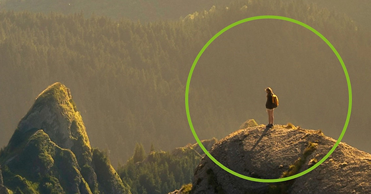 Our Purpose and Values