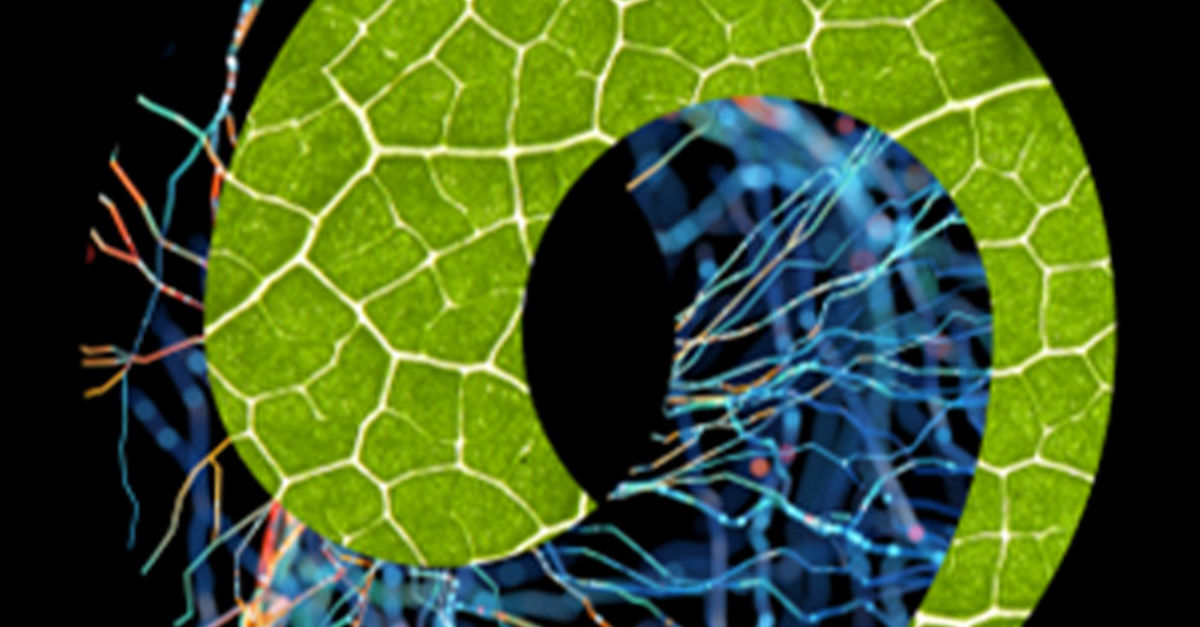 Powering AI | Deloitte Global