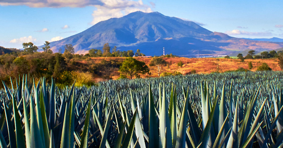 Implementación SAP S/4 HANA “RISE with SAP on AWS” | Deloitte S-Latam