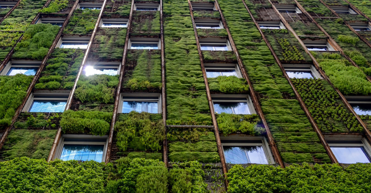 Deloitte’s commitment to environmental sustainability | Deloitte ...