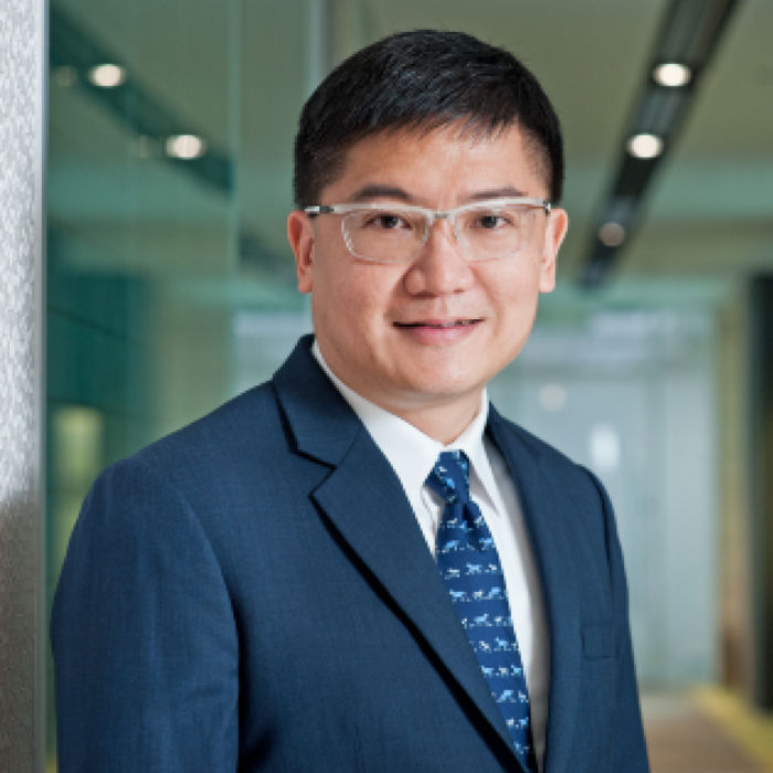 Chua Kong Ping | International Tax Partner