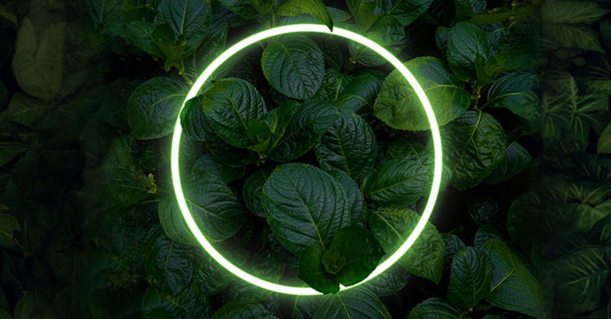 Verdantix Green Quadrant: Climate Change Consulting 2025