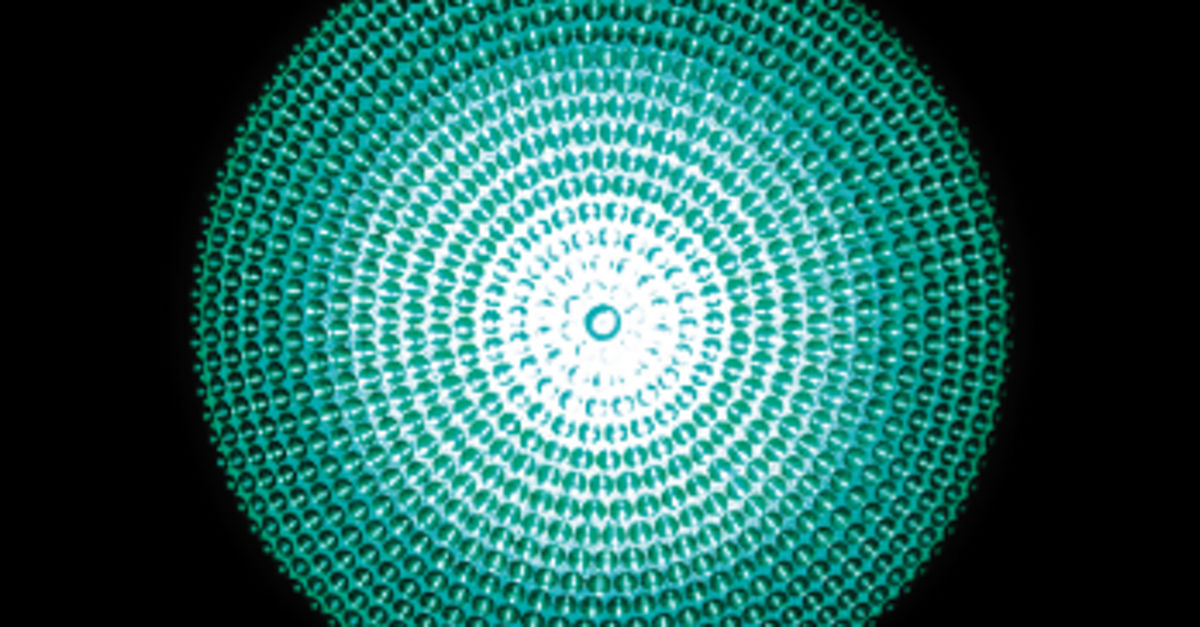 Customs Data Platform | Deloitte Italy