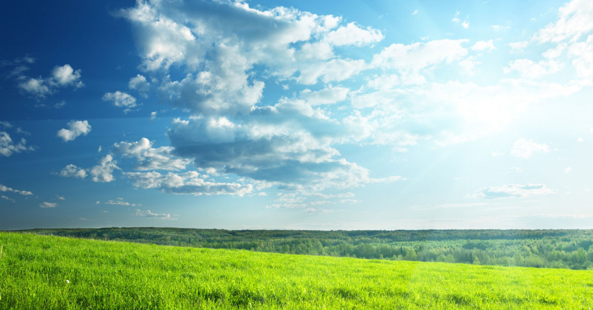 Stjórnendur og eigendur Deloitte á Íslandi | Deloitte Ísland