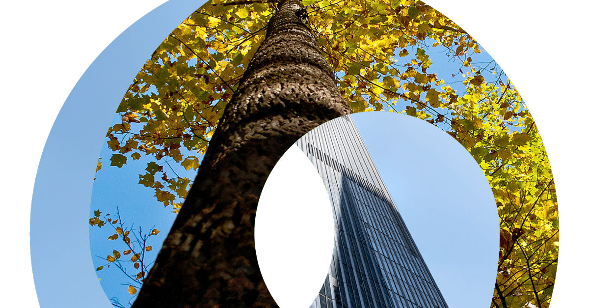 Scope 3 Community