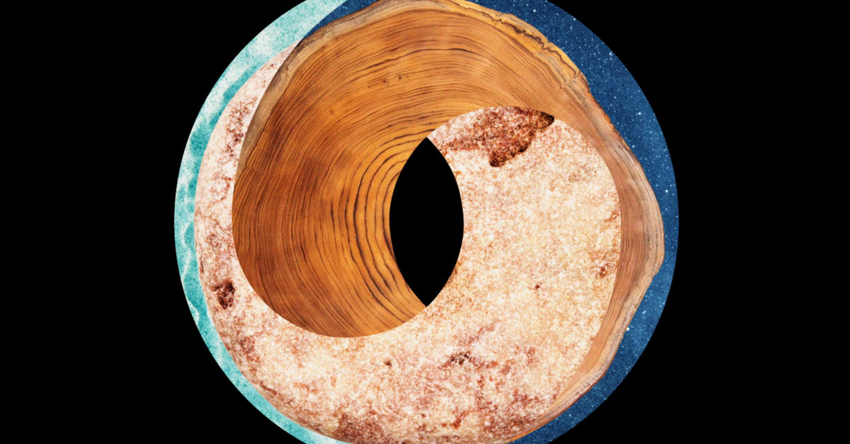 Sjálfbærnikönnun Deloitte 2024 | Deloitte Ísland