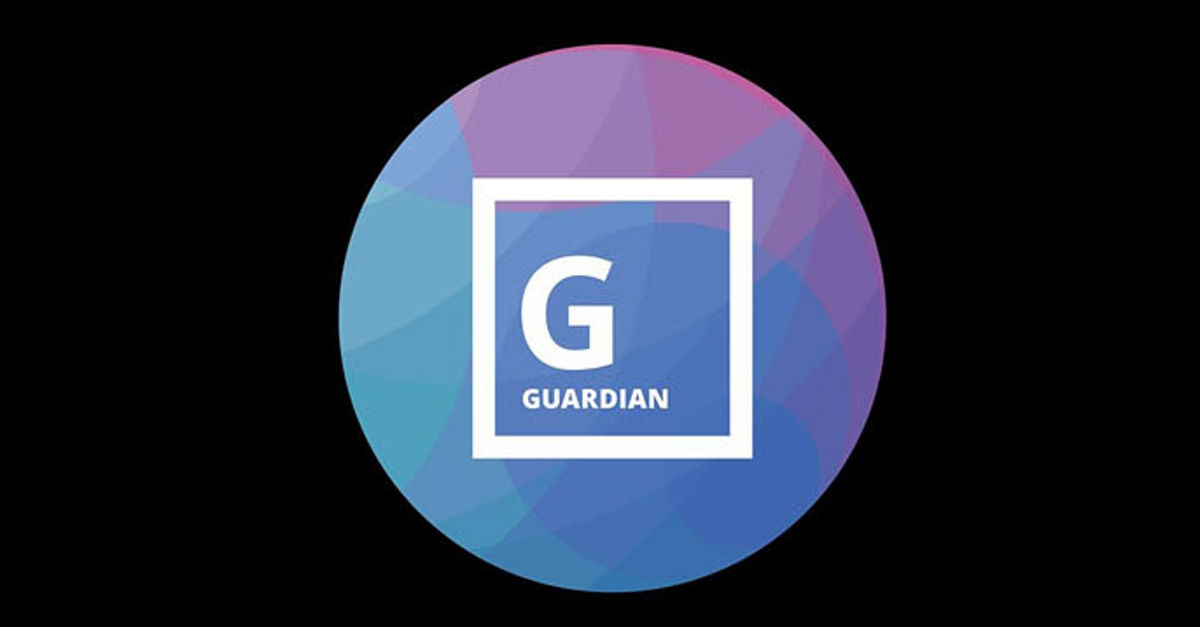 Guardians Value Stability and They Bring Order and Rigor | Deloitte US