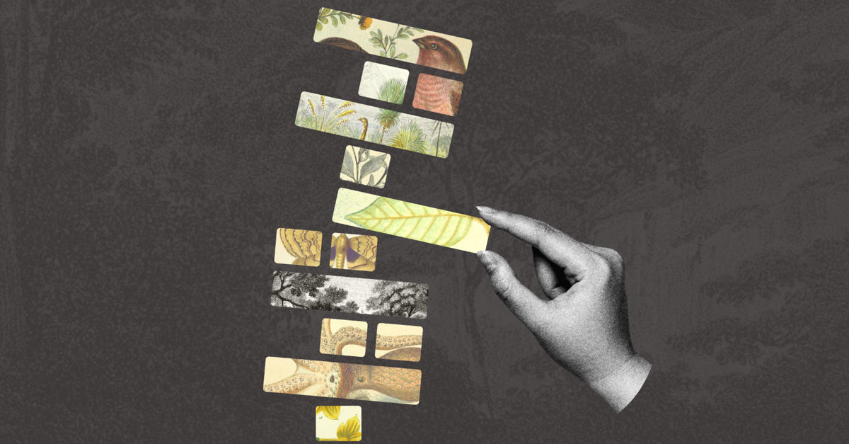 Protecting biodiversity and with nature-positive business strategies ...