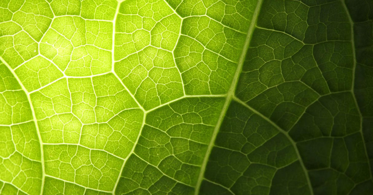 WorldClimate | Deloitte Deutschland