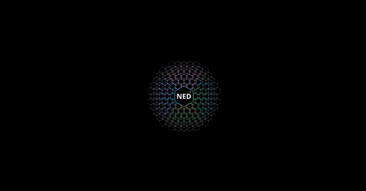 Non Executive Directors (NED) Programme | Deloitte South Africa